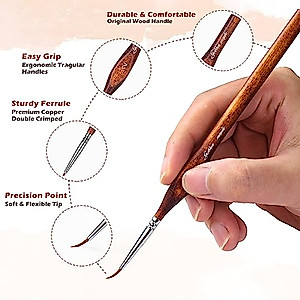 Miniature Model Paint Brushes-10pcs Micro Detail Paint Brush Set,Small Fine Detail Brushes for Acrylics, Oils, Watercolors & Paint by Number, Citadel, Figurine, Warhammer 40k