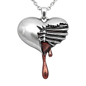 Controse Silver-Toned Stainless Steel Bleeding Heart Necklace with Pendant (17" - 19" Adjustable Chain)