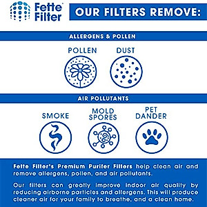 Fette Filter - Replacement Filter Compatible with Holmes HAPF7-U8 Smoke Grabber Ashtray. Fits Holmes Models: HAP70, HAP75, HAP76. Fits Pollenex Models: AT100, AT101 Pack of 12