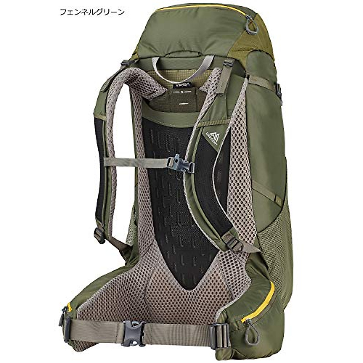 Gregory Mountain Products Stout Men's 35 Backpack