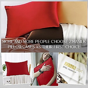ZIMASILK 100% Pure Mulberry Silk Pillowcase for Hair and Skin Health,Soft and Smooth,Both Sides Premium Grade 6A Silk,600 Thread Count,with Hidden Zipper,1pc(Standard 20''x26'',Burgundy)