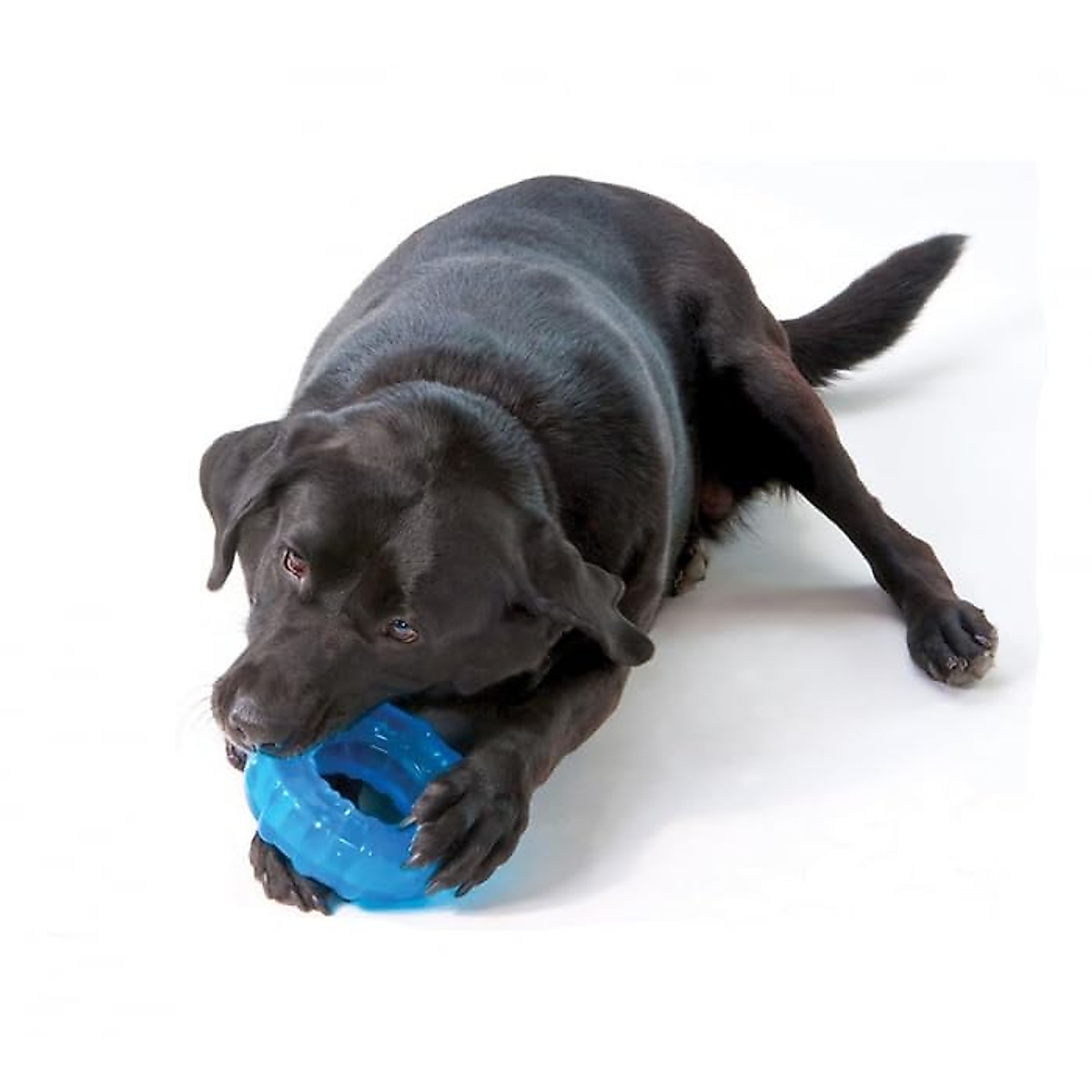 Petstages Orka Tire Royal Blue Treat-Dispensing Dog Chew Toy