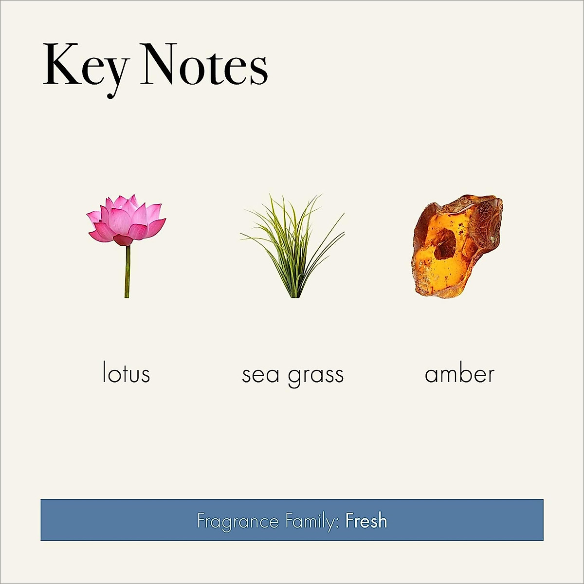 LAFCO New York Classic Candle, Sea & Dune - Pack of 2, 6.5 oz - 50-Hour Burn Time - Reusable, Hand Blown Glass Vessel - Made in The USA