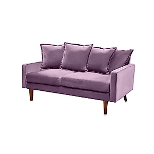Meeyar Couches for Living Room 58'' Small Couch for Small Spaces Loveseat Small Couch for Bedroom Comfy Sofas for Living Room,Office,and Apartment,Lavender