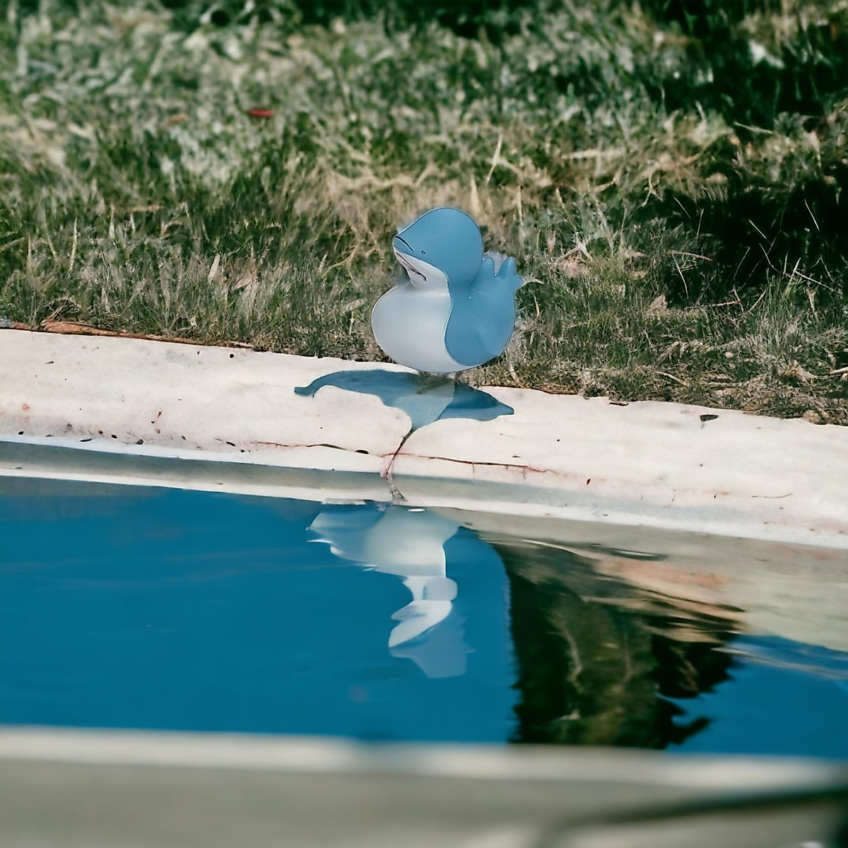 Cool Shark Rubber Ducks (2") Standard Size. (12 Pack) Cute Duck Bath Tub Pool Toys. (Shark Rubber Duckies)