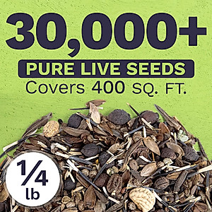 Bulk Wildflower Seeds Butterfly and Humming Bird Mix - 1/4 Pound Bag - Over 30,000 Open Pollinated Annual and Perennial Seeds