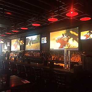 Elite Screens VMAX2, 120-inch 16:9, Wall Ceiling Electric Motorized Drop Down HD Projection Projector Screen, VMAX120XWH2