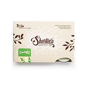 Eucalyptus Leaf Premium Tealight Candles Bulk Pack - Highly Scented with Essential & Natural Oils - 24 Green Tea Lights - Beautiful Candlelight - Made in The USA - Fresh & Clean Collection