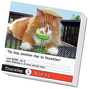 Bad Cat Page-A-Day Calendar 2021