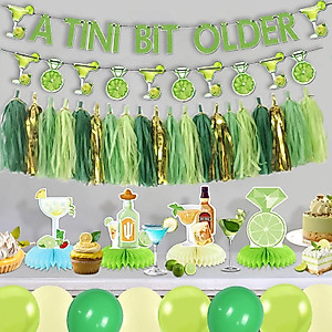 A Tini Bit Older Birthday Decor Banner, a Tiny Bit Older Martini Themed Party Decorations Party Supplies Banners and Tassel Garland