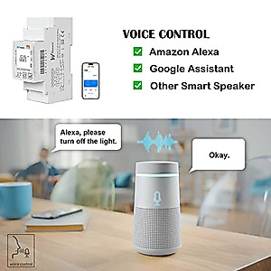 WAMARIN Smart Multifuctional Energy Meter 2 Wire Single Phase 80A, WIFI Electricity Usage Digital Monitor, Remote Control Current Voltage Protection, Compatible with Alexa Google Assistant, 2121