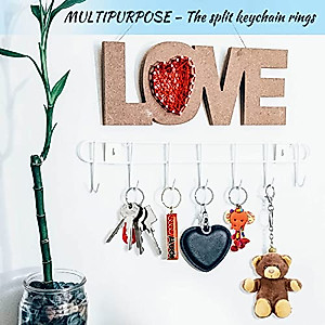 Paxcoo 100 Pack Keyrings, Split Key Rings Bulk for Keychain and Crafts (1 Inch)