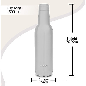 Milton Themosteel Pride 600 Bottle for (Hot & Cold) Beverage - Red