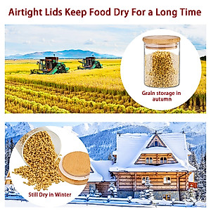 SLifeJars - Glass Jars with Bamboo Lids 16 oz, 12pcs Glass Food Storage Jars with Rewritable Labels, Bamboo Lid Jars for Kitchen Storage, Glass Food Storage Containers with Bamboo Lids for Herbs