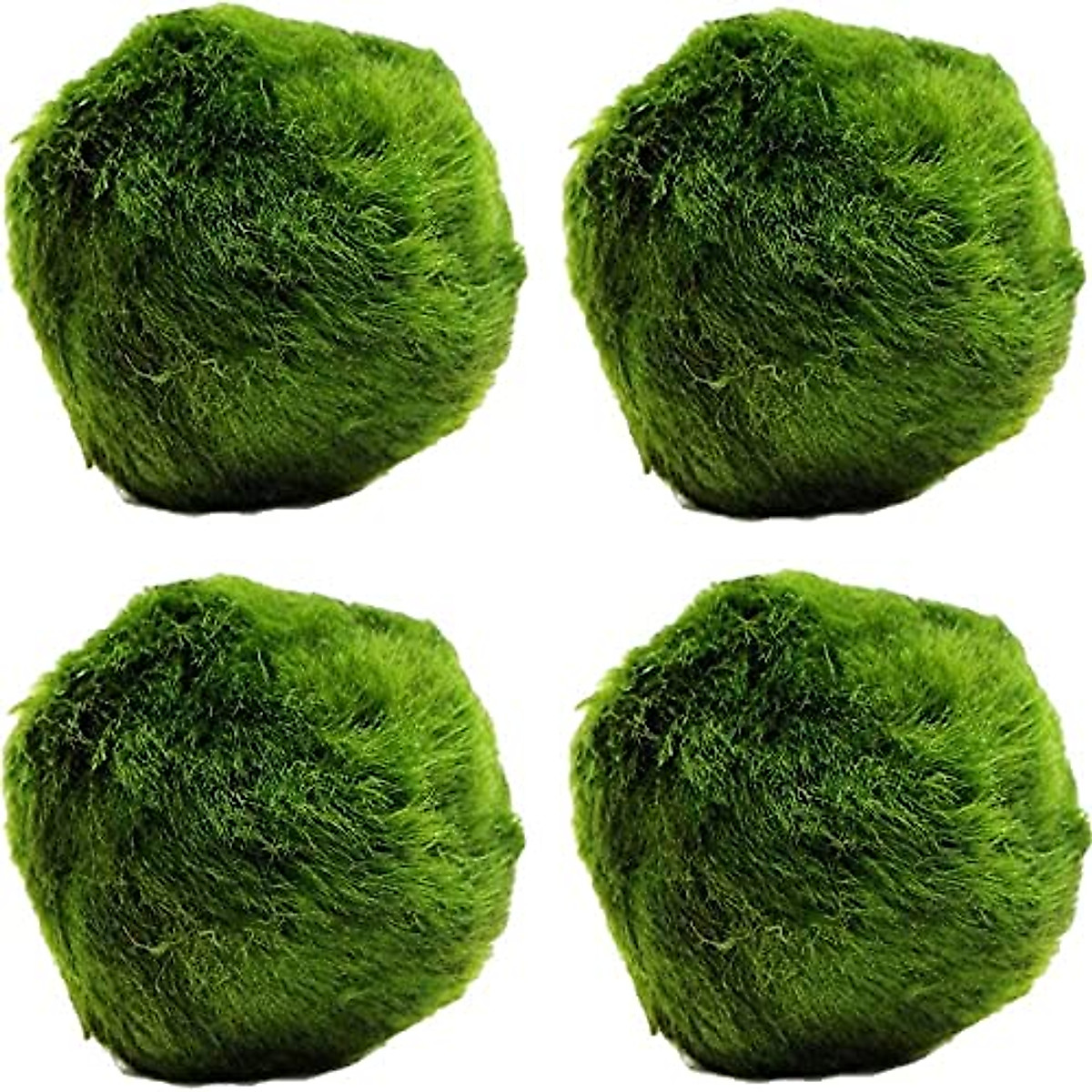 Decorative Balls for Fish Tank Water Grass Moss Live Aquarium Plant Aquatic Plant Ornament 4pcs(3.5cm/1.37in) Free Fish Tank Decoration Stone 8PCS