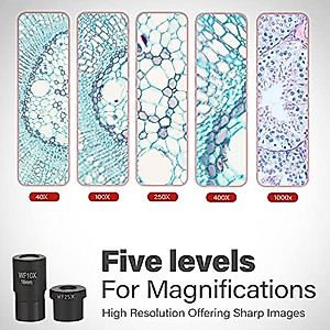 AmScope - M102C-PB10 40X-1000X Biological Compound Microscope with Prepared and Blank Slides for Student and Kids