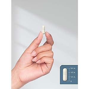 Horbäach DHEA 100mg | 200 Capsules | Non-GMO, Gluten Free Supplement