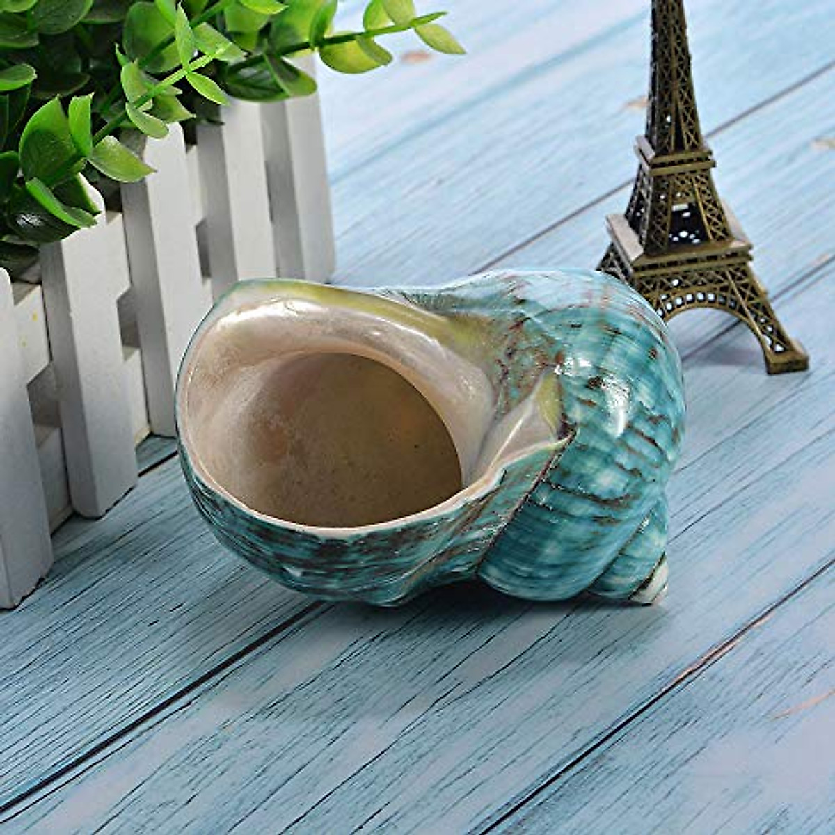 Wixine 1Pcs 10cm Green Turbo Natural Rare Real Sea Shell Conch Stunning Healing Decor Ocean