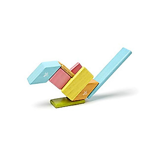 Tegu 14 Piece Magnetic Wooden Block Set in Tints
