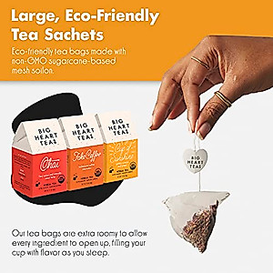 Big Heart Tea Co. Spicy Tea Bags Gift Set - Certified Organic, Ayurvedic Herbal Tea - Small Batch Ground Herbs, Spices in Zero Plastic Sachets - Healthy Tea Variety Box - 3 Flavors, 30 Pack