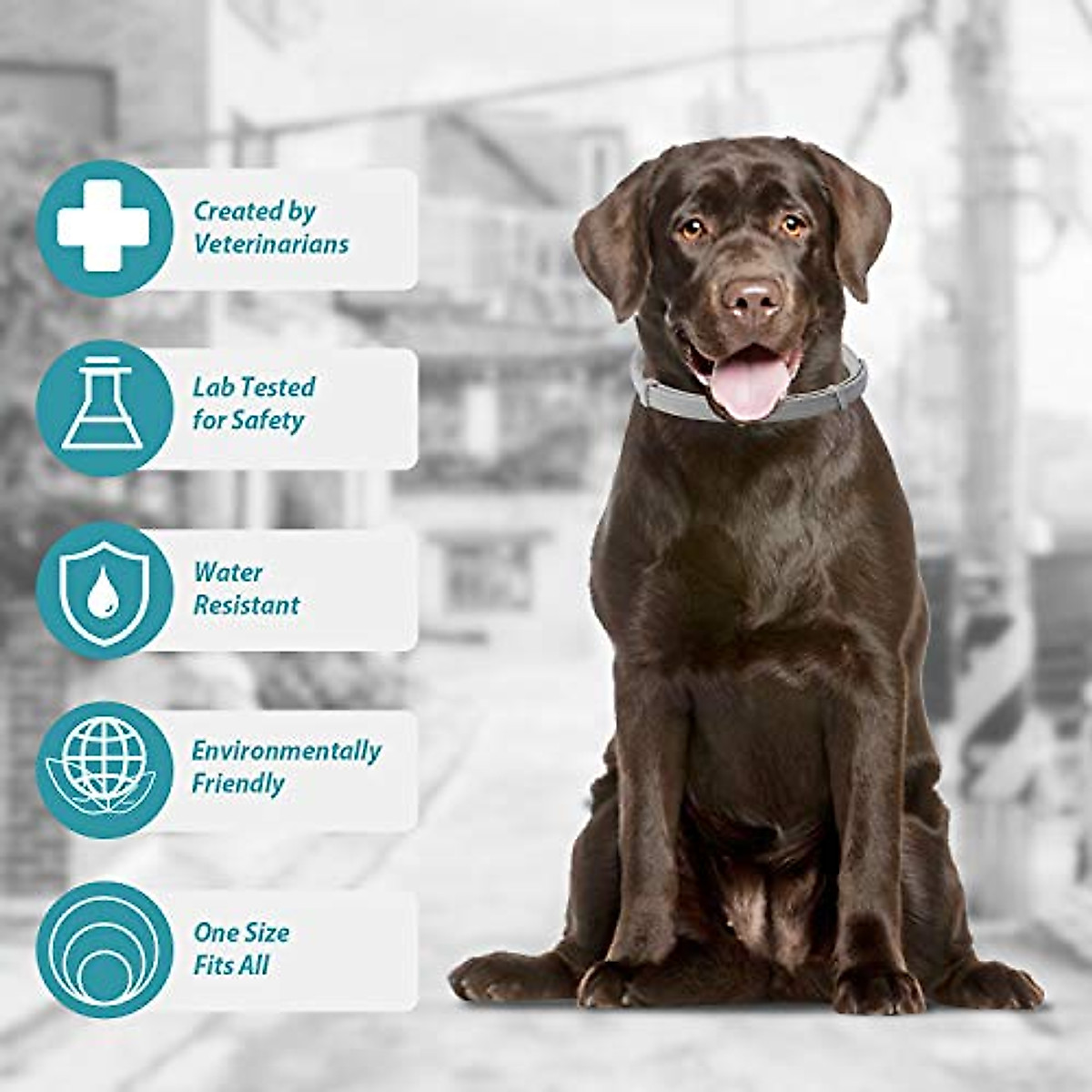 Flea and Tick Collar for Dogs,Flea and Tick Treatment and Prevention for Dogs up to 8 Month,One Size Fits All,100% Natural Ingredients, Waterproof,Include Tick Removal Tools,2 Pack