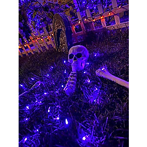 DecoBrite Halloween Solar Purple String Lights Outdoor 21ft (6.3m) 50 ct LED Mini Lights on Black Wire for Garden Tree Yard Patio Party Decoration (Purple)