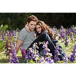 The Twilight Saga: Breaking Dawn - Part 2 [Blu-ray + Digital Copy + UltraViolet]