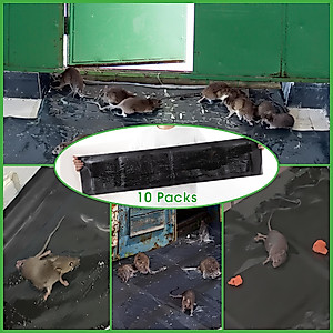 Qualirey 10 Pack Sticky Mouse Traps, Anti Tear Rats Trap, 47" x 11" Ultra Large Mice Trap for Home Strong Sticky Glue Traps for Indoor Outdoor Trapping Snakes Rats Spiders Roaches and Other Rodents