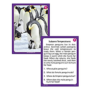 Super Duper Publications | Photo Auditory Memory for Short Stories Fun Deck Flash Cards | Educational Learning Resource for Children