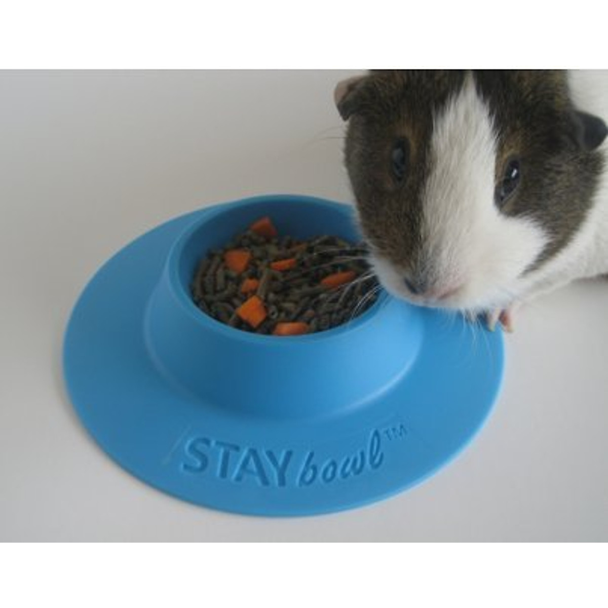 STAYbowl Tip-Proof Ergonomic Pet Bowl for Guinea Pig and Other Small Pets; 1/4-Cup Size; Sky Blue