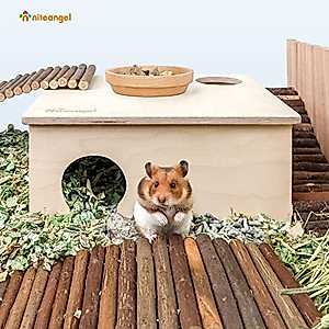 Niteangel Birch Chamber-Maze Hamster Hideout - Small Pets Woodland House Habitats Decor for Hamster Mice Gerbils Mouse