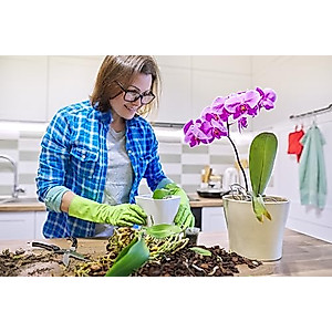 Sun Bulb 5011 Better-Gro Phalaenopsis Mix, 8 Quarts