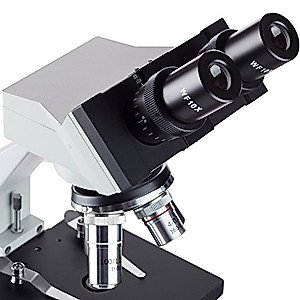 AmScope B100B-MS Compound Binocular Microscope, 40X-2000X Magnification, Brightfield, Tungsten Illumination, Abbe Condenser, Mechanical Stage