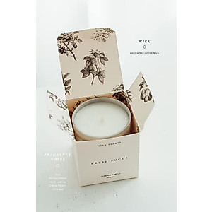 Sisu Scents | Fresh Focus | Sicilian Lemon, Jasmine & Lemon Flower | Luxury Scented Jar Candle | Made in California | Vegan & Clean Burning | 8oz