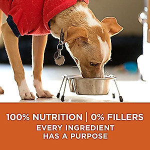 Purina ONE Plus Healthy Weight High-Protein Dog Food Dry Formula - 8 Lb. Bags