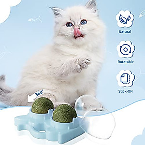 Catnip Balls for Cats Wall Catnip Ball Toy, 2 Pack Edible Cat Nip Ball Double Ball for Cats Chew Toy, Rotatable Interactive Cat Kitten Toys of Indoor Cats for Teeth Cleaning & Soothe the Mood (Blue)