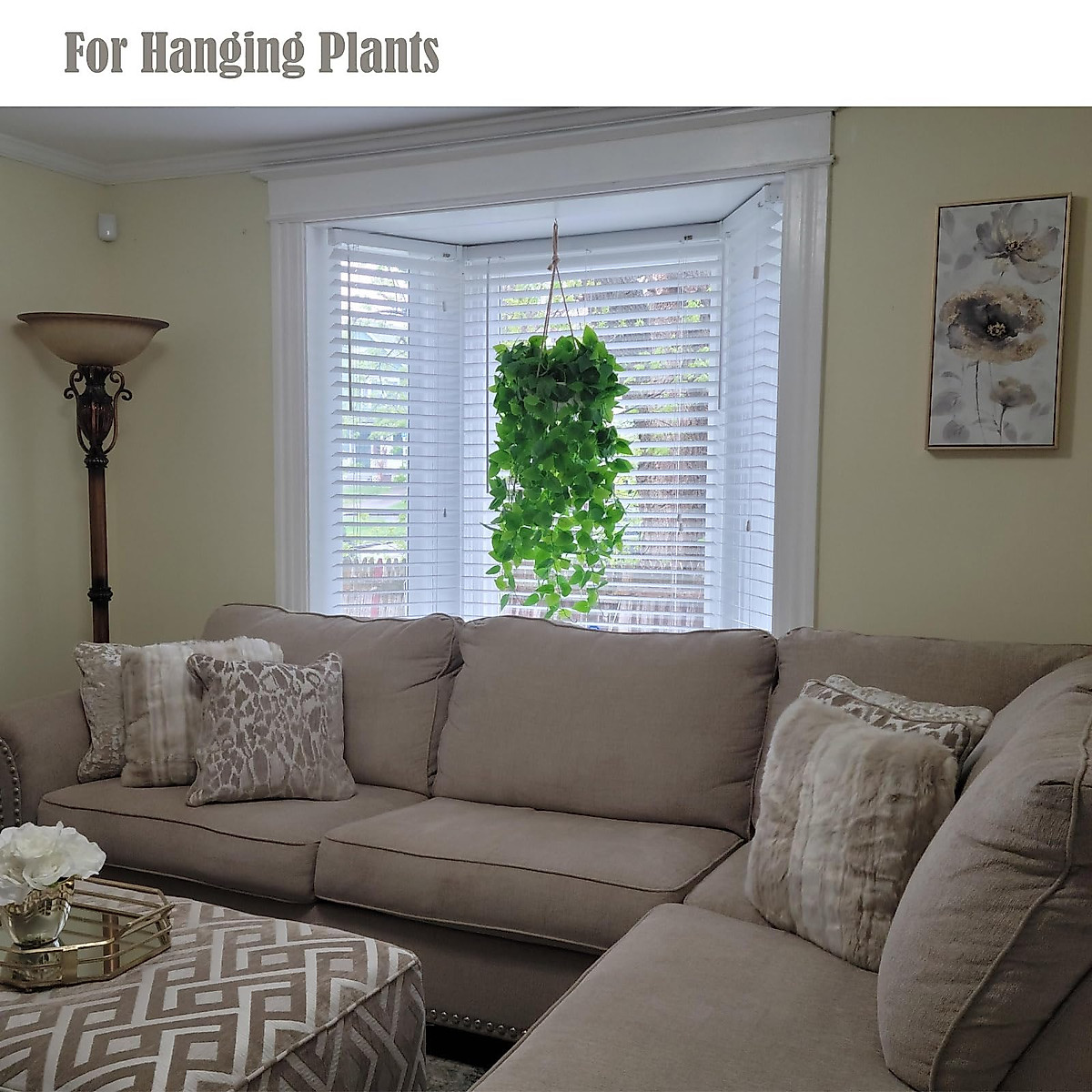 Solid Copper Brass S Hooks Pan Pot Holder Rack Hooks Hangers Round-End S Shaped Hooks for Hanging Coffee Mugs Kitchenware Pots Utensils Rail Jeans Pants Clothes Bags Closet Towels Plants Flower