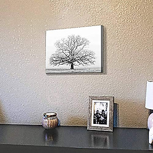 Winter Tree Canvas Print Artwork: Grey & White Landscape Print Wall Art for Bathroom (16'' x 12'')