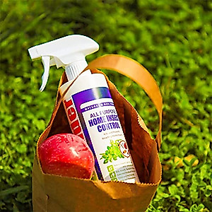 EcoVenger by EcoRaider All Purpose Insect Control 16 OZ, Fleas, Fruit Flies, Gnats, Moths, Roaches, Spiders, Fast Kill, Lasting Prevention, Kill Eggs, Plant Extract Based & Non-Toxic, Child & Pet Safe