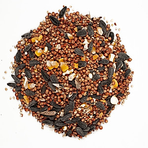 Wagner's 53002 Farmer's Delight Wild Bird Food with Cherry Flavor, 10-Pound Bag