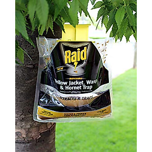 Raid Yellow Jacket and Wasp Trap (3-Pack), Outdoor Wasp Trap, Disposable Wasp and Yellow Jacket Trap Bag with Food-Based Attractant