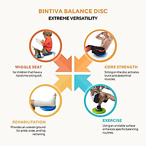 bintiva Round Balance disc Purple 33cm