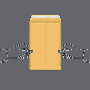 Amazon Basics Catalog Mailing Envelopes, Peel & Seal, 9x12 Inch, Brown Kraft, 100-Pack