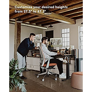 BANTI 48"x24" Standing Desk Adjustable Electric Height with Monitor Stand, Double Storage Shelves Stand Up Desk, Home Office Workstation Sit Stand up Desk (Rustic Brown)