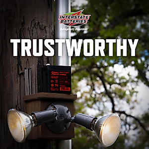 Interstate Batteries 6V 4Ah Fire & Security Battery (F1 Terminal) SLA AGM VRLA Power Patrol Rechargeable Replacement for Fire Alarms, Security Systems, General (FAS0905)