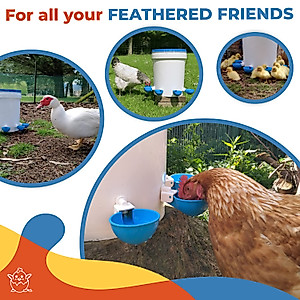 Lil Clucker - Blue Large Automatic Chicken Waterer Cups Suitable for Ducks, Geese, Turkeys, and Bunny Rabbit - Water Feeder Kit - Poultry Waterer - Pack of 5