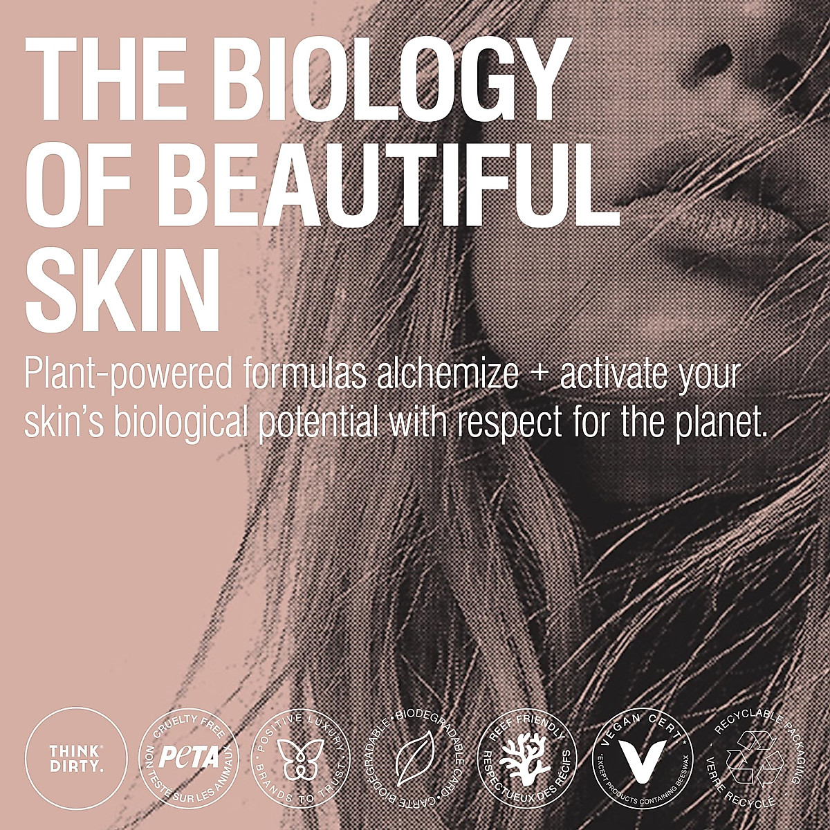 Grown Alchemist Hydra-Repair Day Cream with Camillia, Geranium Blossom & Vitamin E. Face Moisturizer to Prime and Hydrate Skin (65ml).