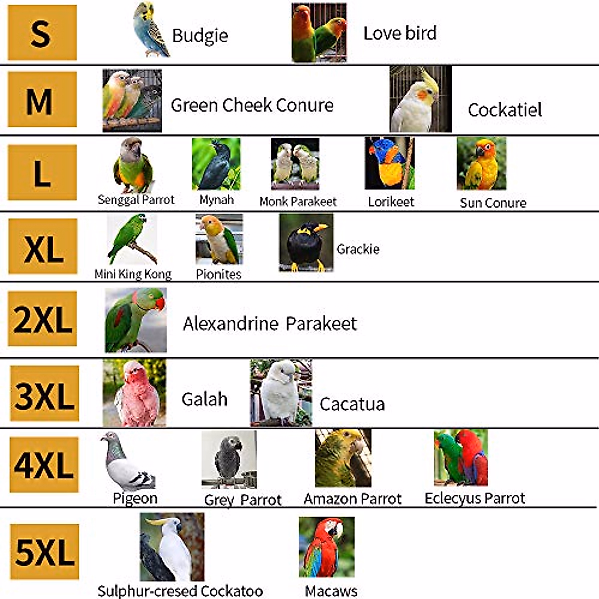 HEZHUO Parrot Diapers, Bird Flight Suits, Bird Suits, Reusable Waterproof Diapers, pet Bird Supplies (M, Pink)