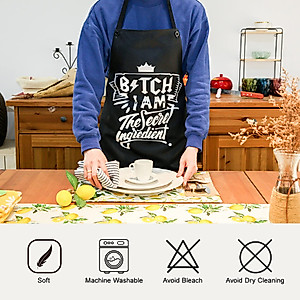 JOYPLUS I Am the Secret Ingredient Funny Aprons Birthday Gifts for Men,Women,Husband, Brother, Plus Size Aprons and Grilling BBQ Chef Chef Costume