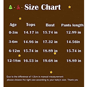 Aslaylme Baby Girls Little Sister Outfit Plaid Matching Sister Outfit (Red-Little Sister,0-3 Months)